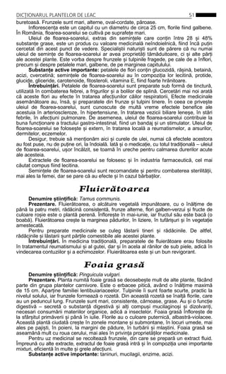 Dictionarul plantelor de leac | PDF