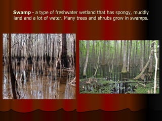 Dictionary Of Landforms Shaped By Water and water processes | PPT