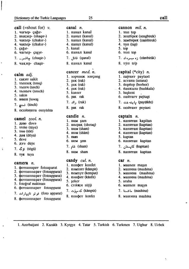 Dictionary of The Turkic | PDF