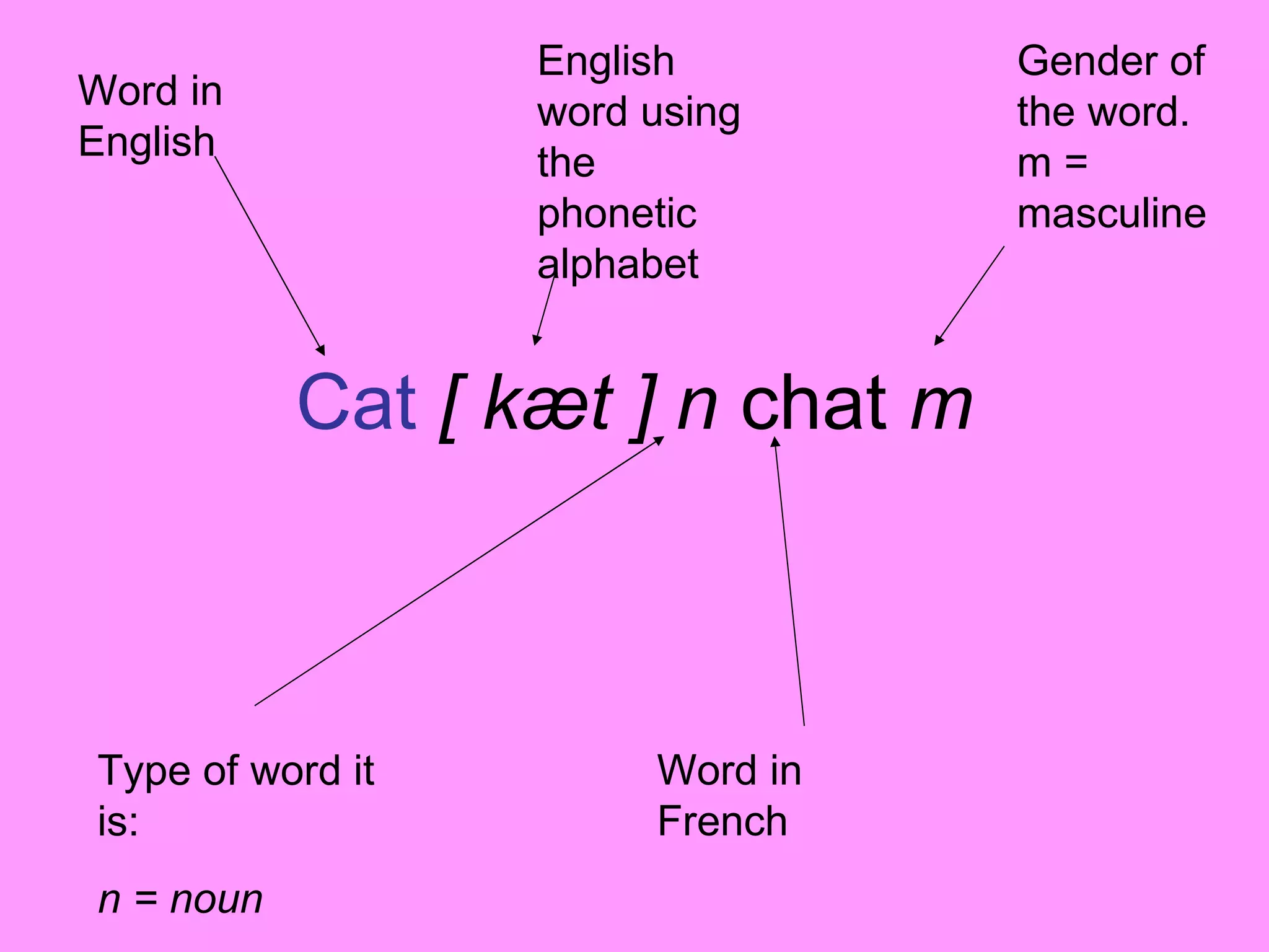 Dictionary Skills Noun | PPT