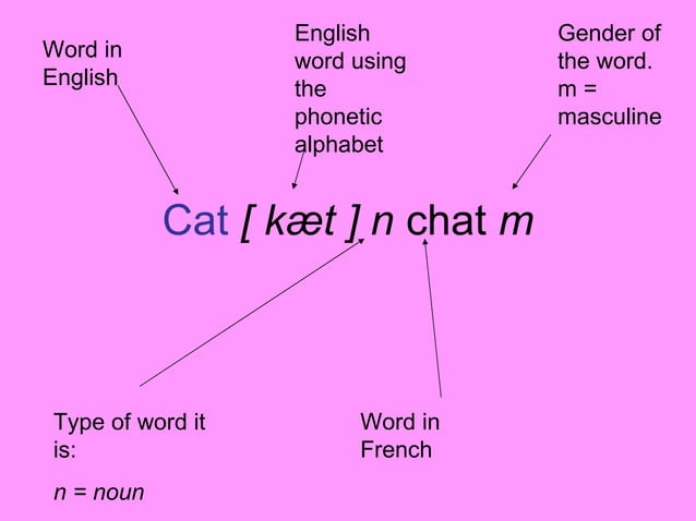 Dictionary Skills Noun | PPT