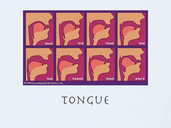 Introduction to Diction - Overview of Vowel Triangle, Positions of Li…