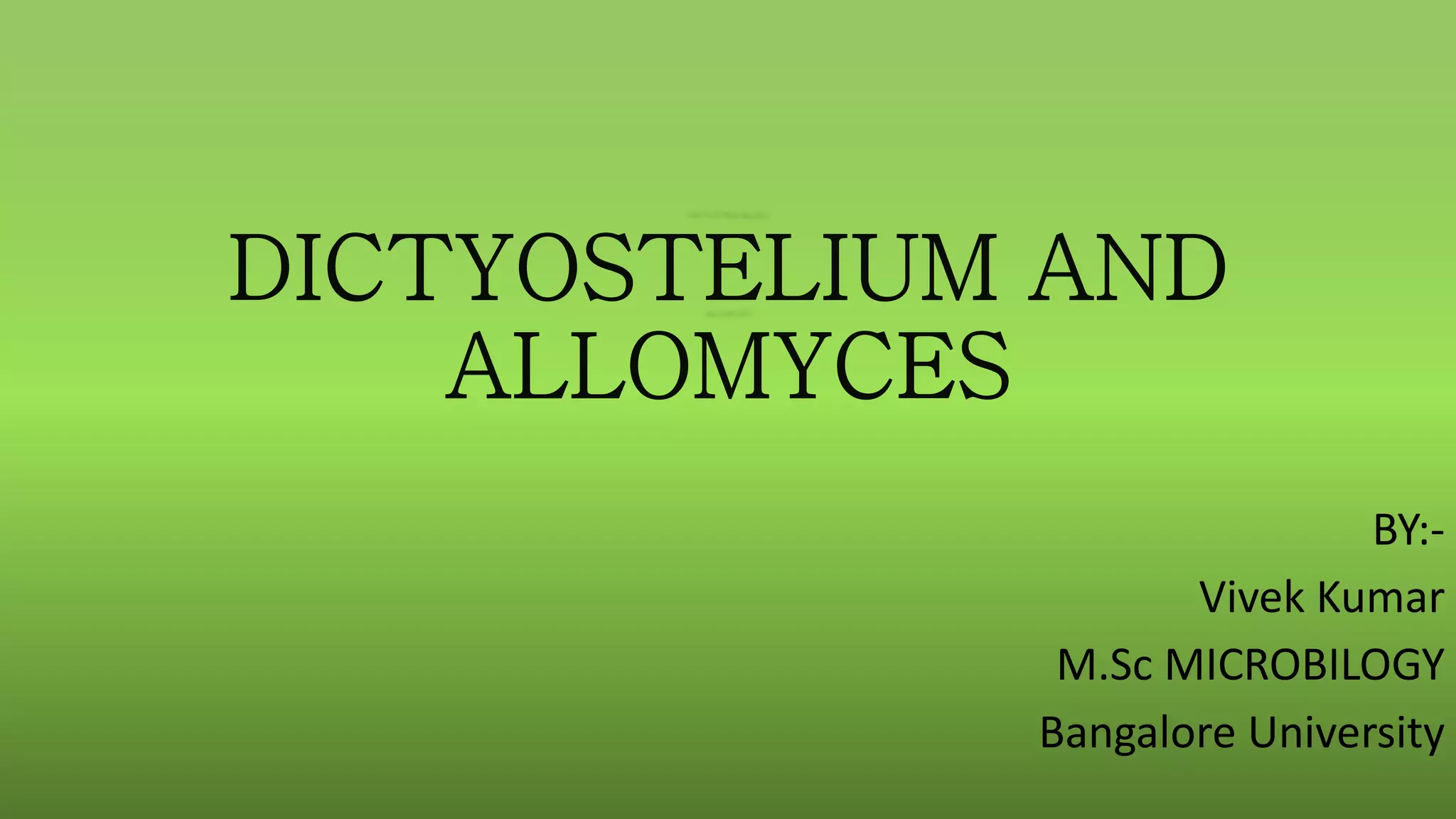 DICTYOSTELIUM AND ALLOMYCES | PPTX | Reproductive Health | Diseases and ...