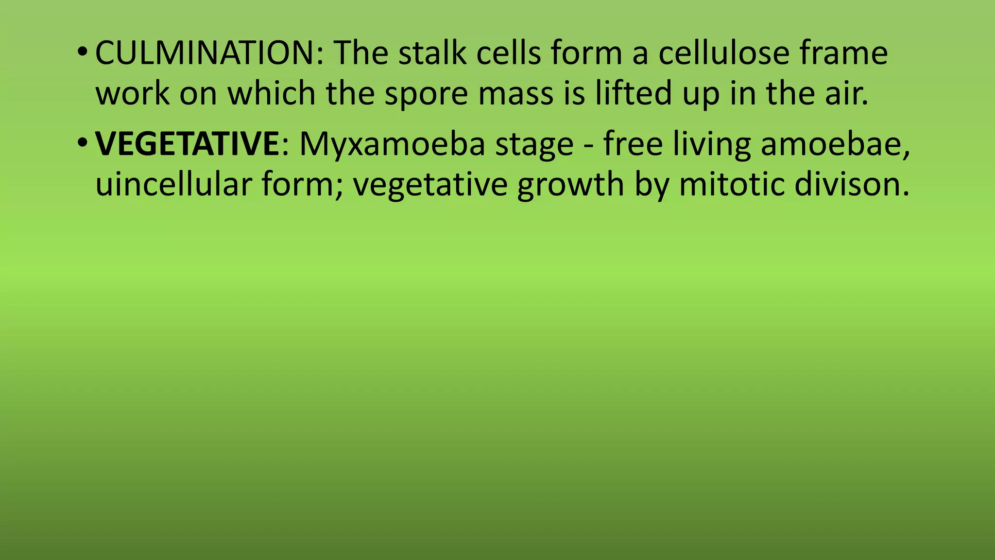 DICTYOSTELIUM AND ALLOMYCES | PPTX