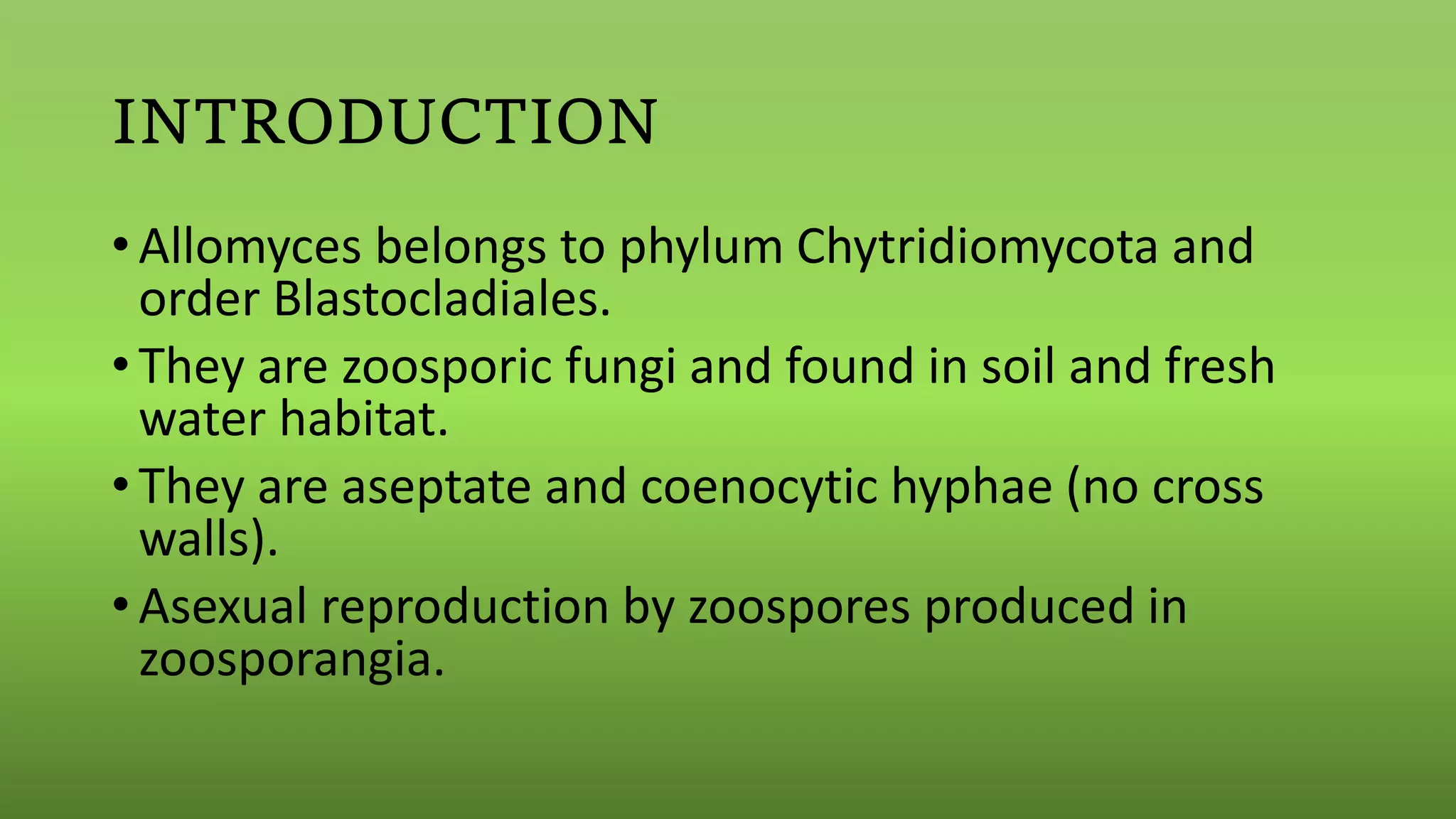DICTYOSTELIUM AND ALLOMYCES | PPTX