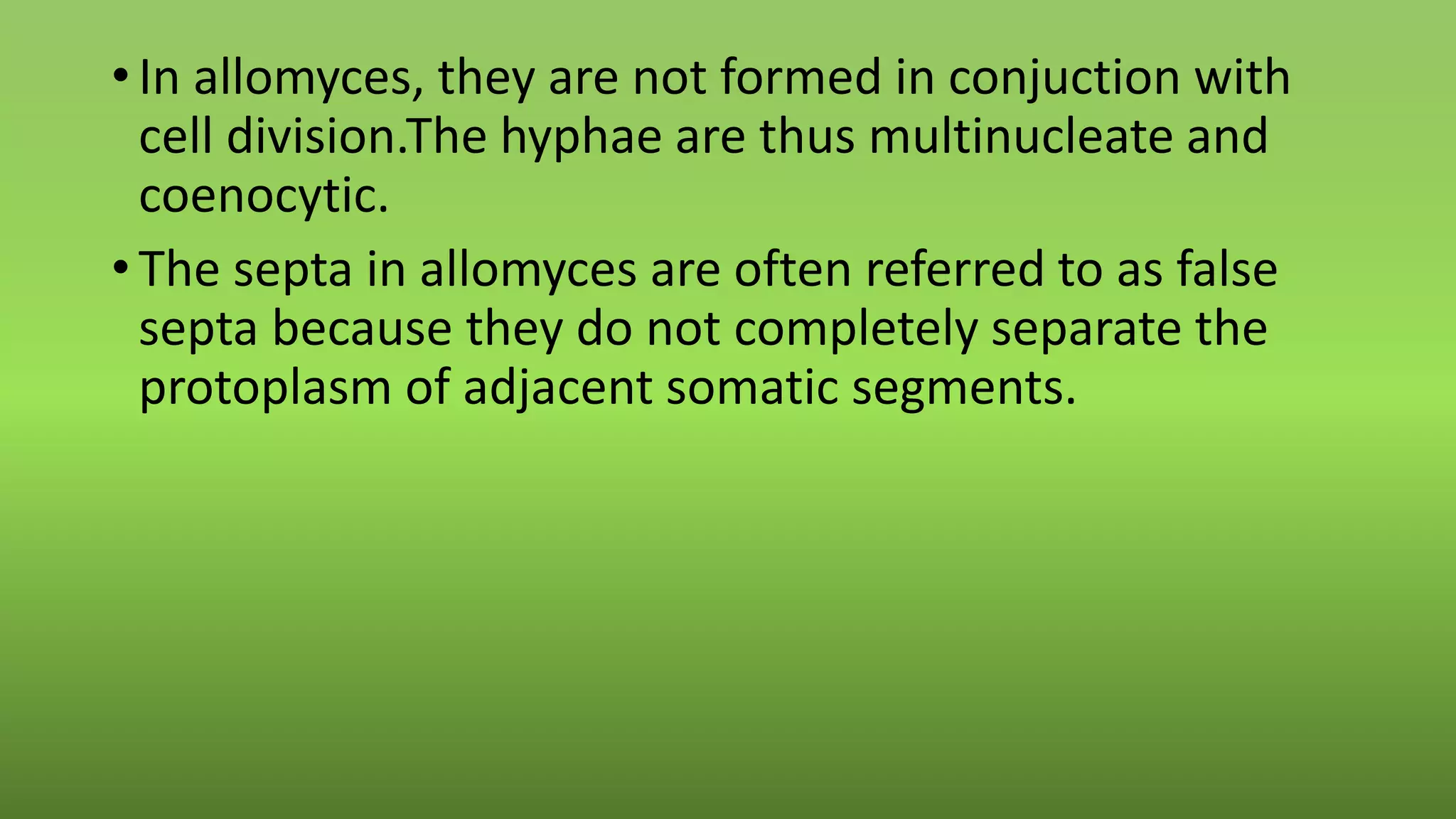 DICTYOSTELIUM AND ALLOMYCES | PPTX