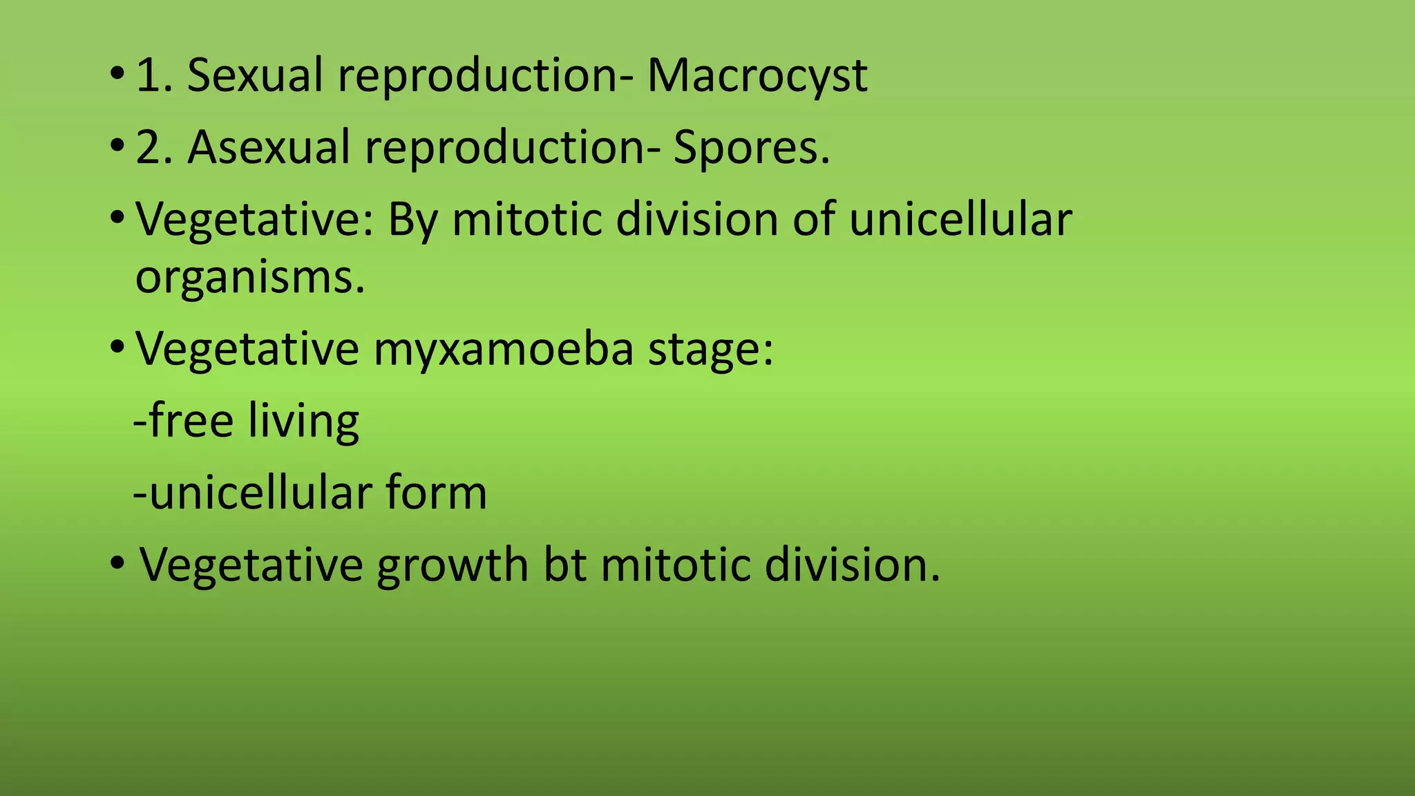 DICTYOSTELIUM AND ALLOMYCES | PPTX