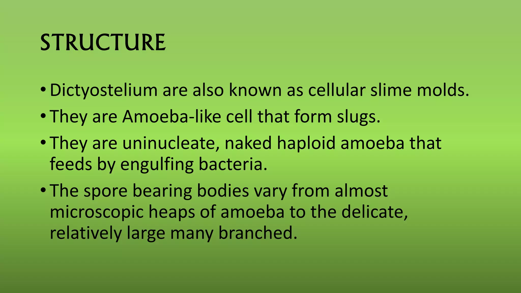 DICTYOSTELIUM AND ALLOMYCES | PPTX | Reproductive Health | Diseases and ...