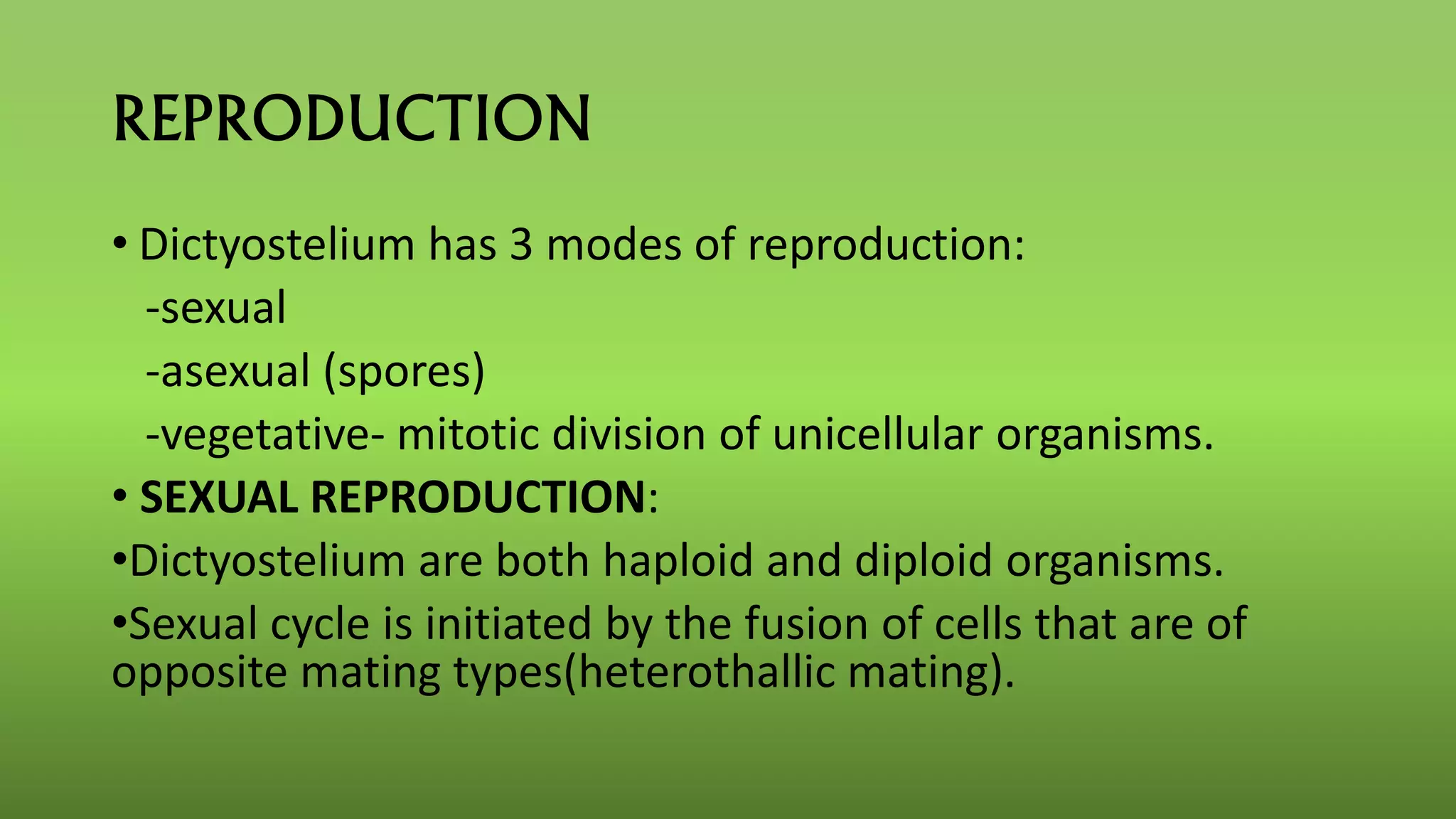 DICTYOSTELIUM AND ALLOMYCES | PPTX