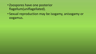 DICTYOSTELIUM AND ALLOMYCES | PPTX | Reproductive Health | Diseases and ...