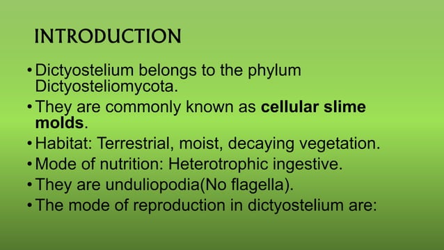 DICTYOSTELIUM AND ALLOMYCES | PPTX | Reproductive Health | Diseases and ...