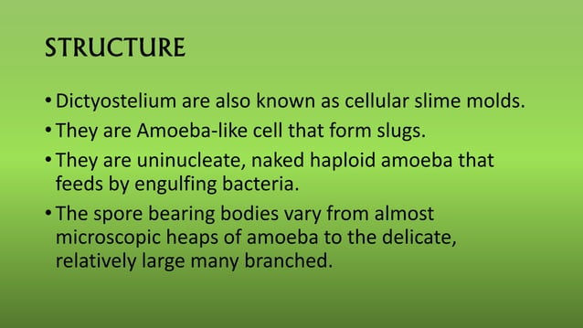 DICTYOSTELIUM AND ALLOMYCES | PPTX | Reproductive Health | Diseases and ...