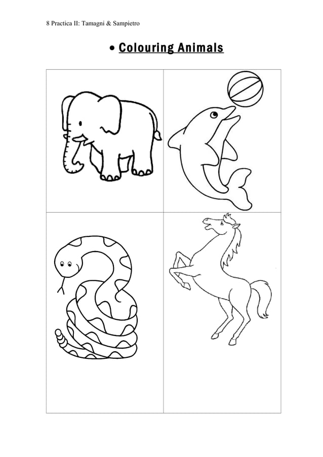 Didactic Sequence ANIMALS plus Lesson Plan 1 and 2 | PDF