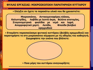 Didaktiki tis biologias | PPT
