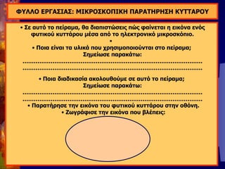 Didaktiki tis biologias | PPT