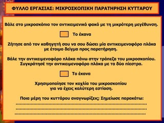 Didaktiki tis biologias | PPT