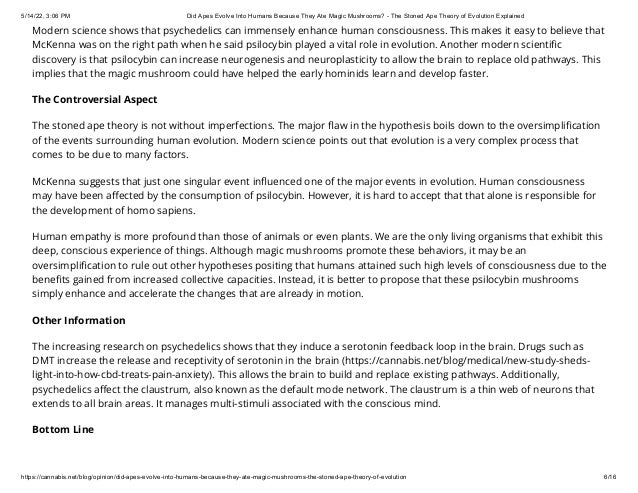 What is the Stoned Ape Theory of Evolution? | PPT