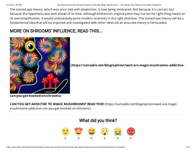 What is the Stoned Ape Theory of Evolution? | PPT