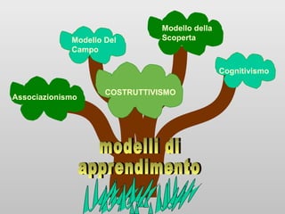 Didattica metacognitiva c | PPT