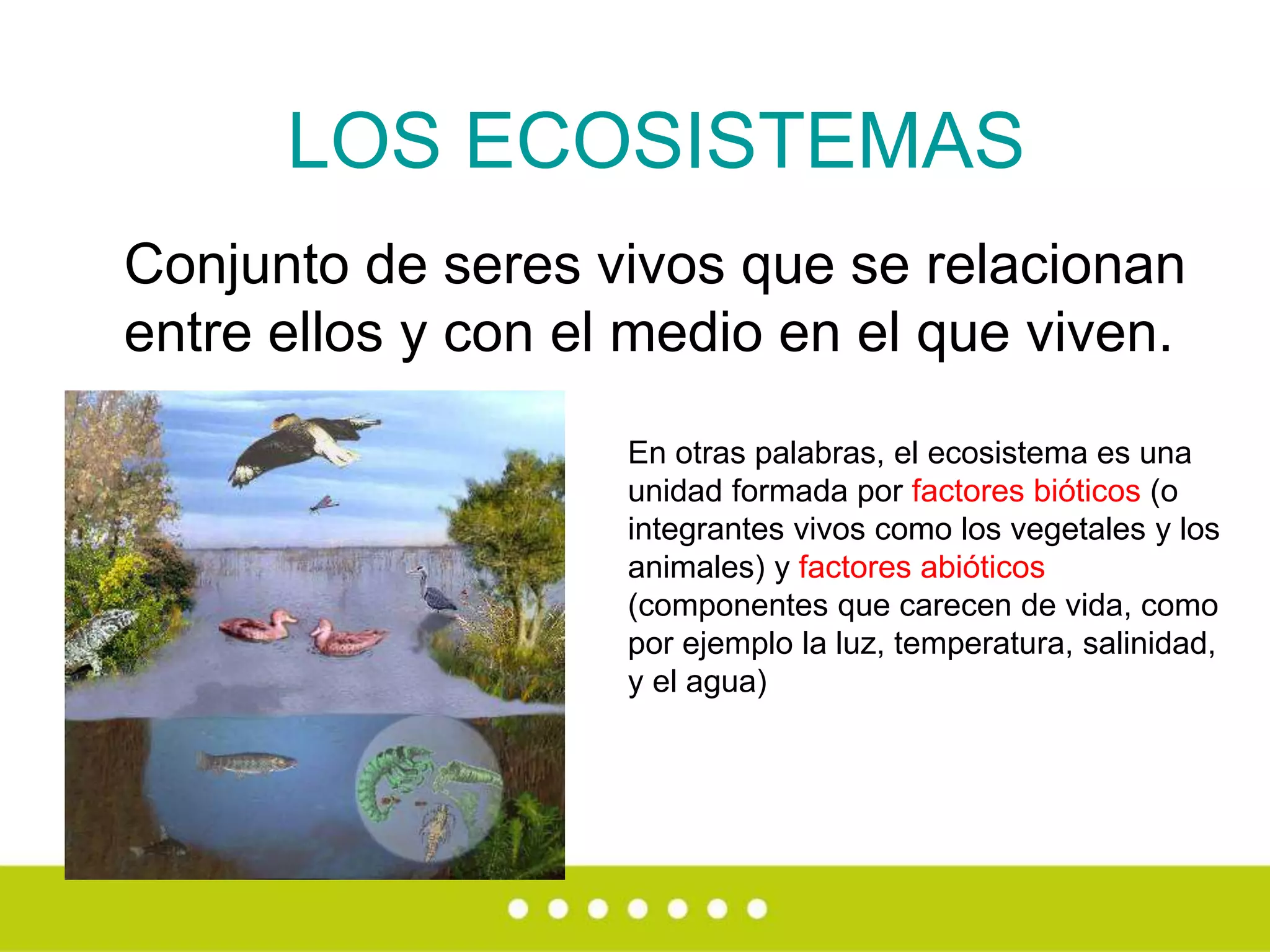 Individuo, especie, población, comunidad y ecosistema | PPTX