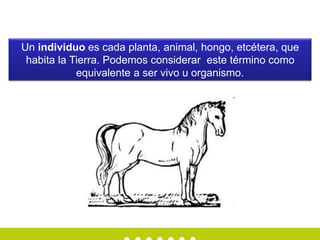 Individuo, especie, población, comunidad y ecosistema | PPTX