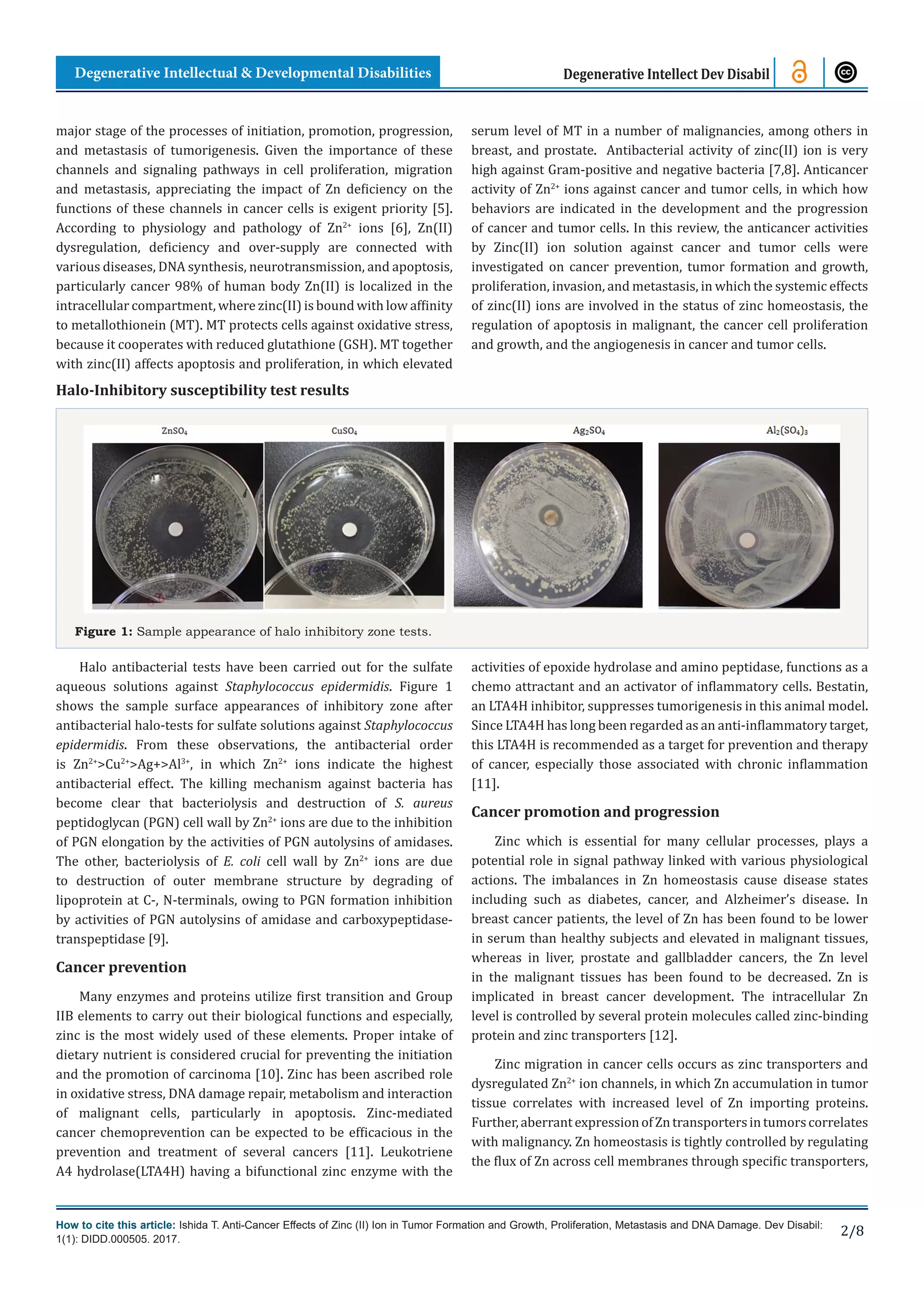 Anti-Cancer Effects of Zinc (II) Ion in Tumor Formation and Growth ...