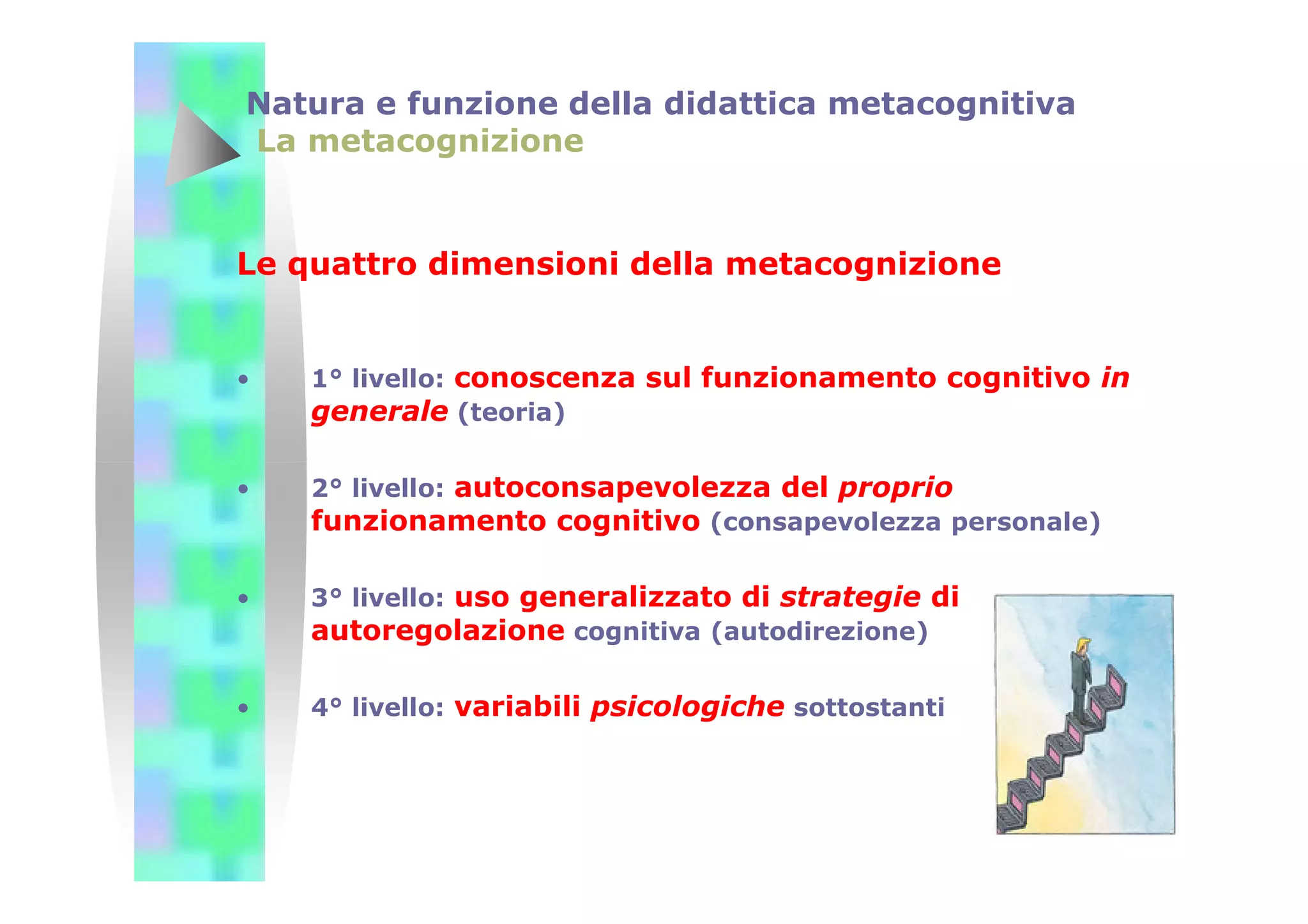 Did metacognitiva e metacogniz | PDF