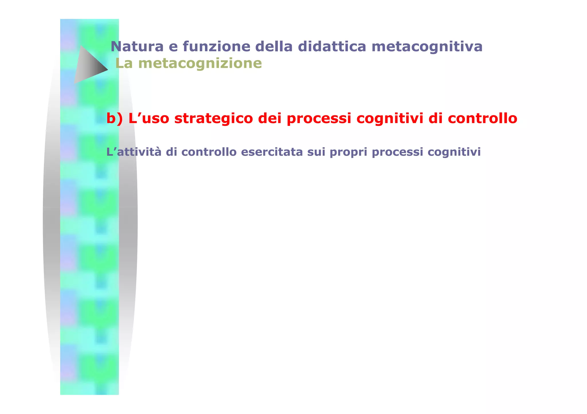 Did metacognitiva e metacogniz | PDF