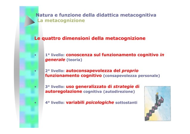 Did metacognitiva e metacogniz | PDF