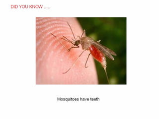 Did U Know......! | PDF