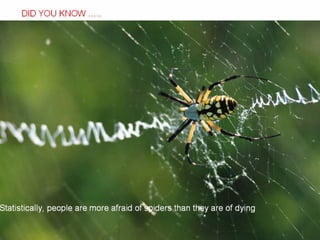 Did U Know......! | PDF