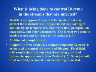 Didymosphenia geminata | PPTX