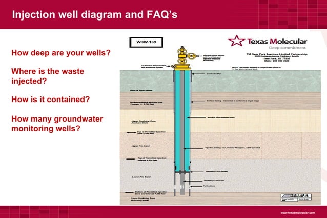 Who is Texas Molecular? | PPT