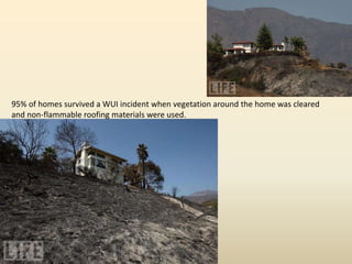 Did You Know WUI | PPTX