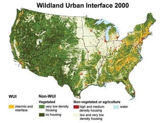 Did You Know WUI | PPTX