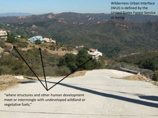 Did You Know WUI | PPTX