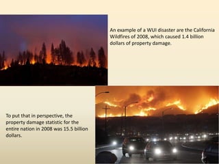 Did You Know WUI | PPTX