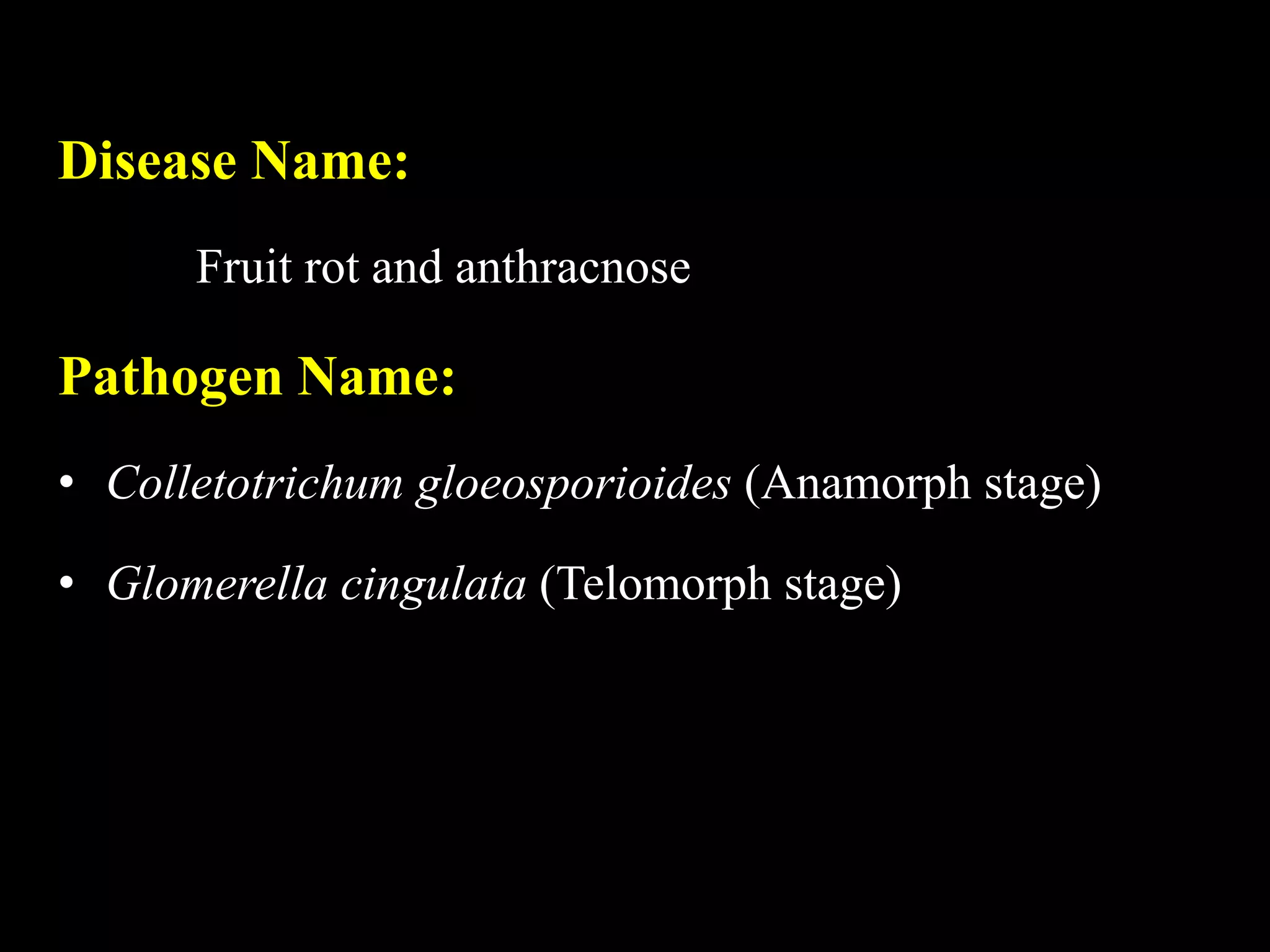 Dieases of Annona (Custard Apple) | PPT