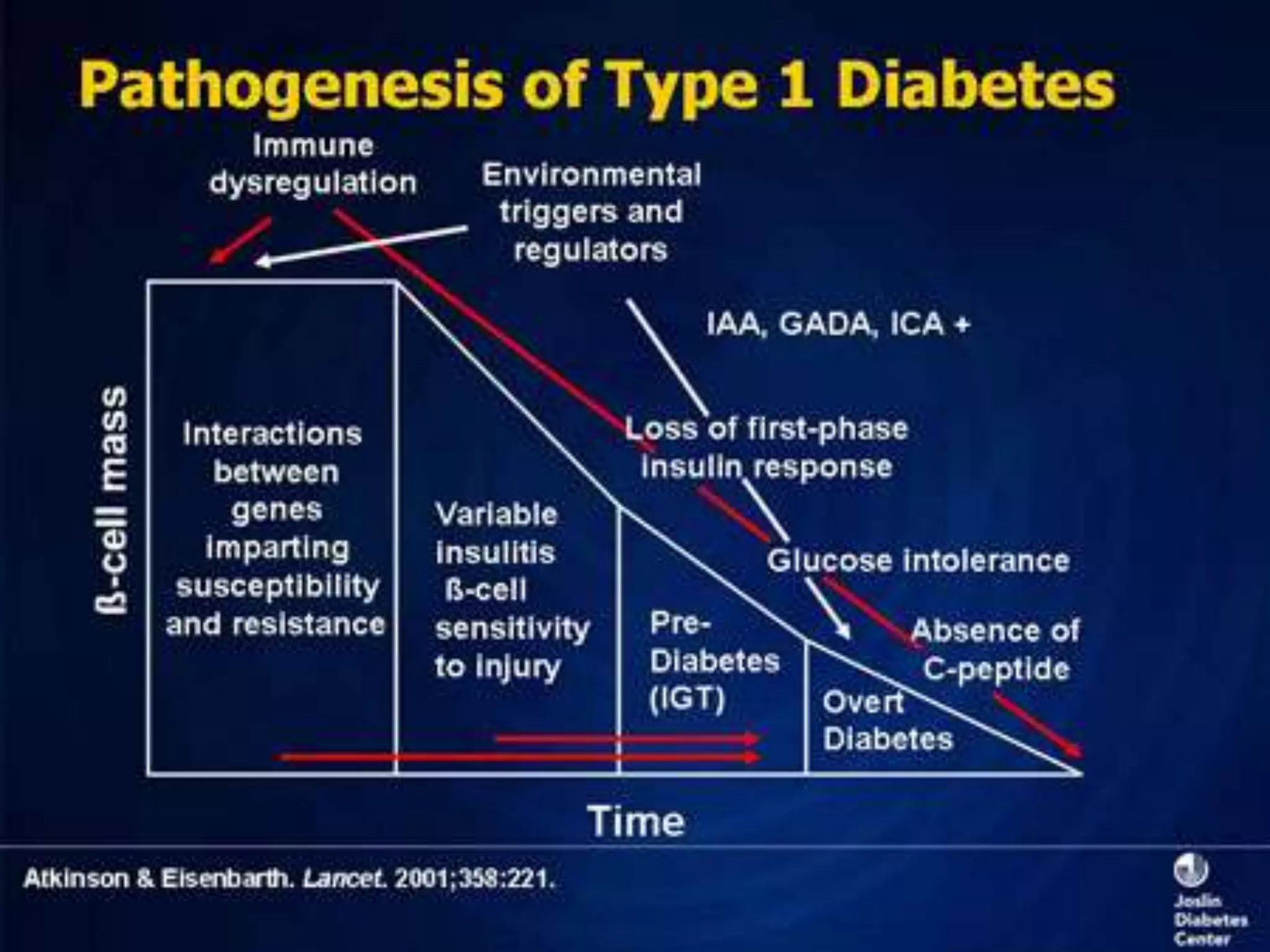 Diebetes mellitus type 1 | PPTX