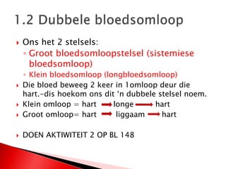 Die bloedsomloopstelsel gr10 lw | PPTX
