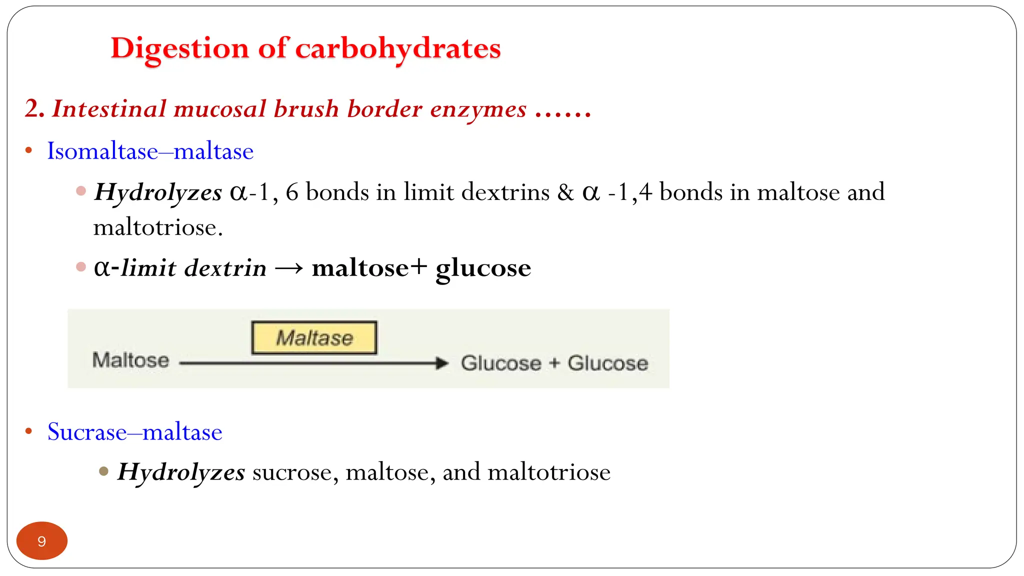 Diegestion Absorption of CHO and Hexose sugar metabolism.pdf
