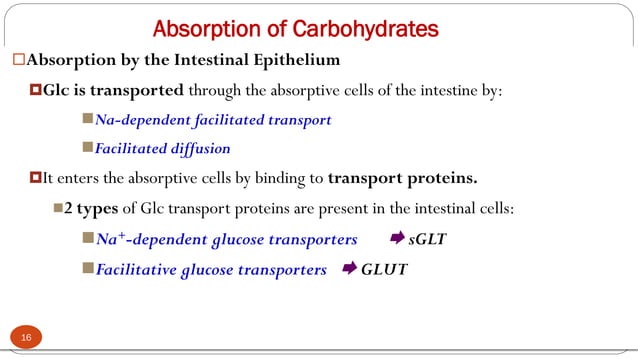 Diegestion Absorption of CHO and Hexose sugar metabolism.pdf