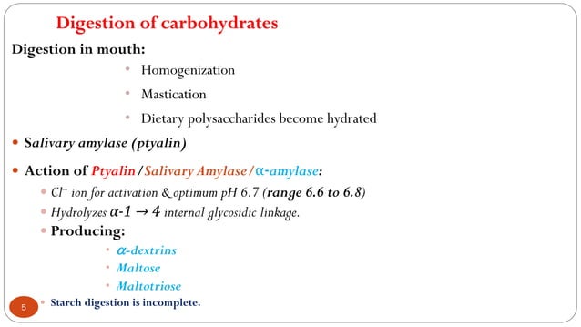 Diegestion Absorption of CHO and Hexose sugar metabolism.pdf