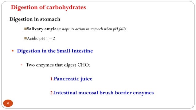 Diegestion Absorption of CHO and Hexose sugar metabolism.pdf