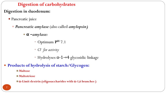 Diegestion Absorption of CHO and Hexose sugar metabolism.pdf
