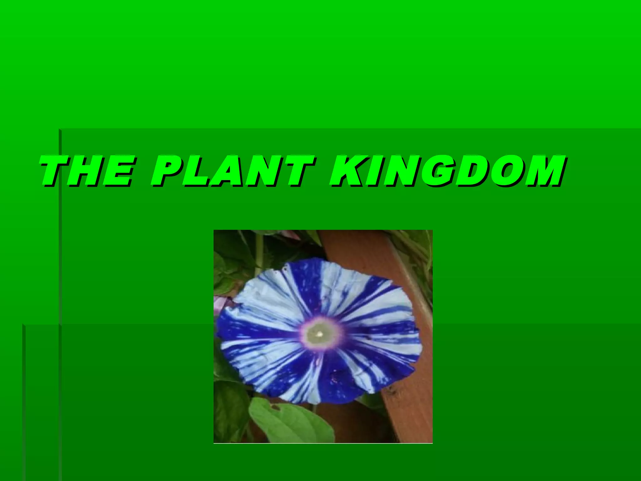 The Plant Kingdom | PPT