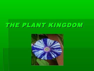 The Plant Kingdom | PPT