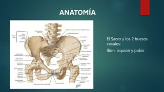 Fracturas de Pelvis, Proximales y Fémur.pptx