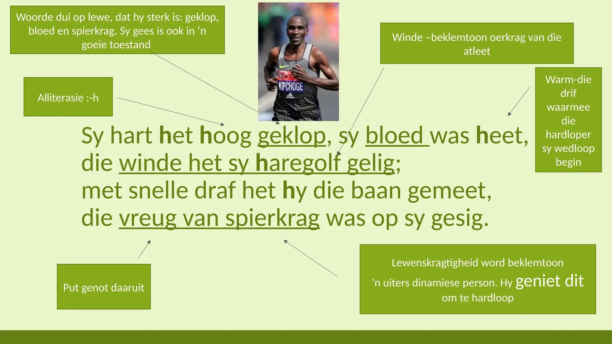 Die hardloper 2024 - Matric Afrikaans FAL poem | PPTX