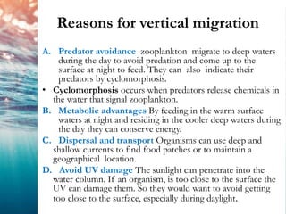Diel vertical migration (DVM) | PPTX